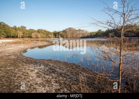 Indian Lake, Silver River Springs Forest Stock Photo - Alamy