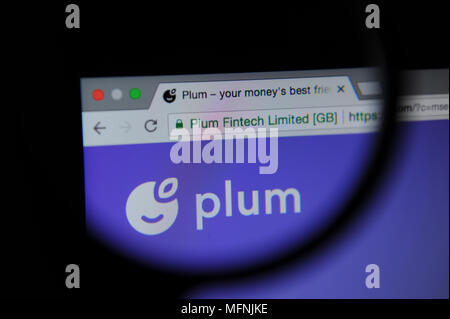 Plum website seen through a magnifying glass. Plum is an automatic ...