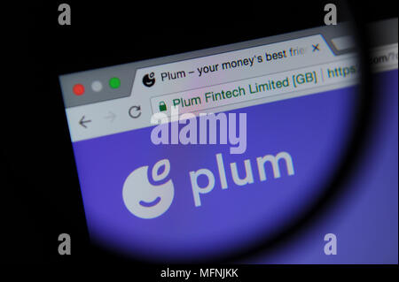 Plum website seen through a magnifying glass. Plum is an automatic ...