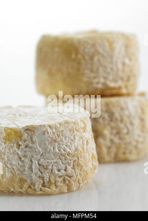 French Goat Cheese called Crottin Stock Photo - Alamy