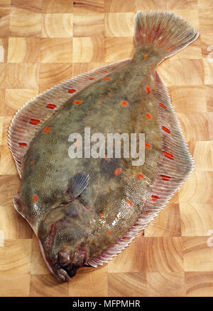 Fresh Plaice, pleuronectes platessa Stock Photo - Alamy