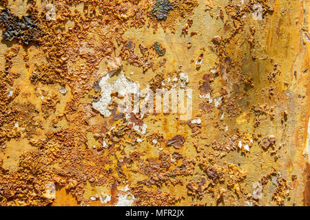 Concrete wall texture with rusty surface. Classic cement surface ...
