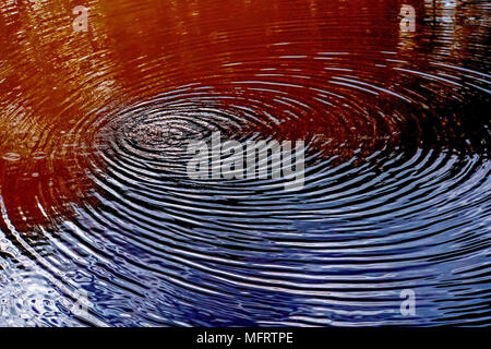 circular ripples in a pond Stock Photo: 1417959 - Alamy