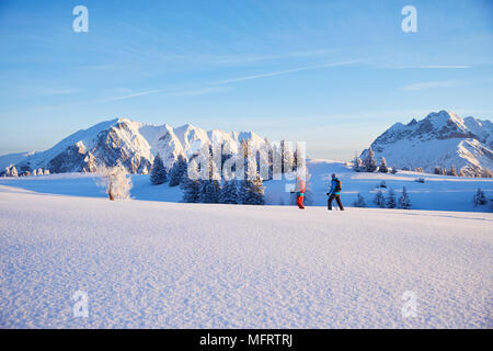 Snowshoeing, hiking in winter landscape, Simmering Alm, Obsteig ...