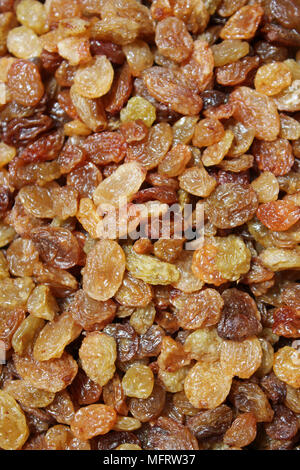 Healthy Organic Golden Raisins in a Bowl Stock Photo - Alamy
