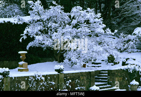 Crowe Hall, snow covered garden and statue Stock Photo - Alamy