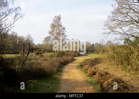 Fingringhoe Wick, an Essex Wildlife Trust nature reserve, Essex ...