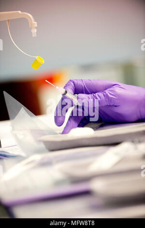 Sterile needle and syringe prepared by hospital worker. Preventing ...