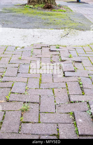 A sidewalk damaged by a tree root in the Gramercy Park neighborhood ...