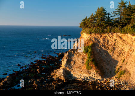 Coast bluff, Shore Acres State Park, Oregon Stock Photo - Alamy