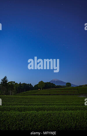 Night View of Mt. Fuji and Shizuoka City Stock Photo - Alamy
