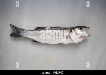 Raw European sea bass fish on table Stock Photo - Alamy