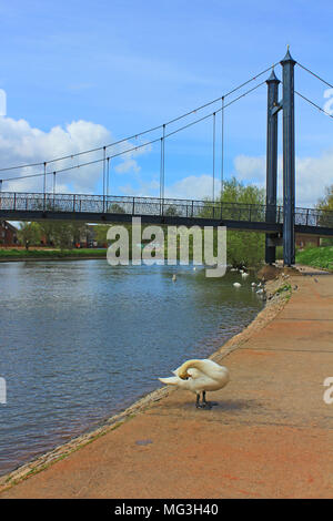 Old Iron Bridge Exeter Devon UK Stock Photo - Alamy