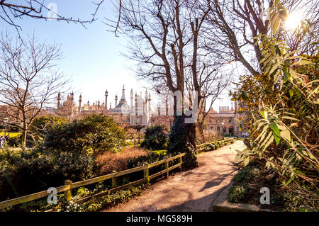 Elm trees in Brighton's Royal Pavilion Gardens Stock Photo - Alamy