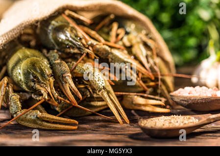 Raw unprepared crawfish with dill on wooden background Stock Photo - Alamy