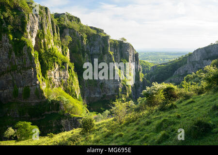 Cheddar Gorge, Somerset, on a gloriously sunny spring afternoon Stock ...