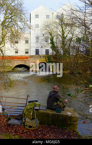 The mill pool on the River Bure at Horstead, Norfolk, UK Stock Photo ...