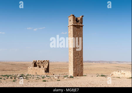 Pillar of Hermits, Jordan Stock Photo - Alamy