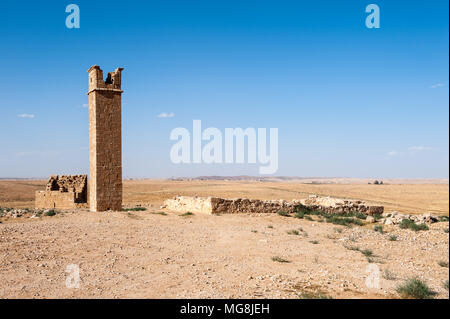 Pillar of Hermits, Jordan Stock Photo - Alamy