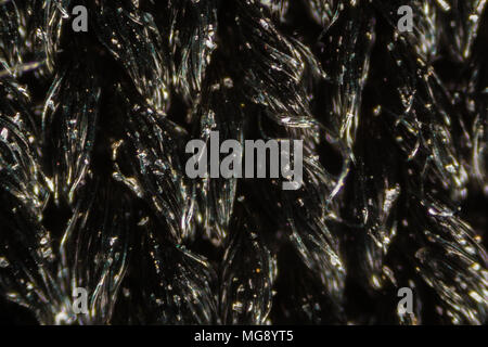 Black nylon mesh cloth fibers under the microscope Stock Photo - Alamy