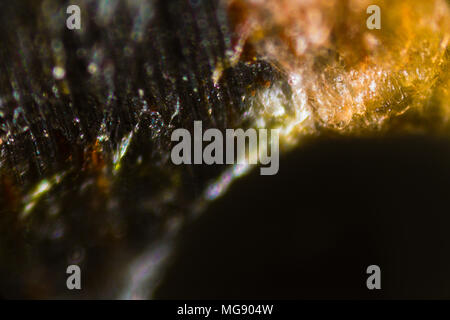 Extreme closeup of a knife under the microscope Stock Photo - Alamy