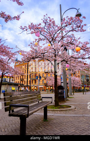Garden with blooming trees during spring time Stock Photo - Alamy