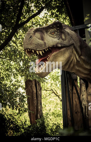 Tyrannosaurus T Rex in woods Stock Photo - Alamy
