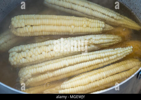 Boiled fresh white corn at street food Stock Photo - Alamy