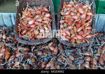French shallots for sale at La Ferme des Beaux Bois, a local producer ...