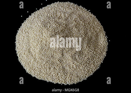 Pearl millet crop ; Bajra crops ; Tamil Nadu ; India ; asia Stock Photo ...