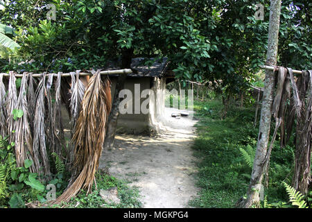 Nikashi, India. 27th Apr, 2018. Snapshot of village residence of Assam ...
