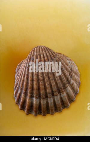 some sea food from north of spain Stock Photo - Alamy