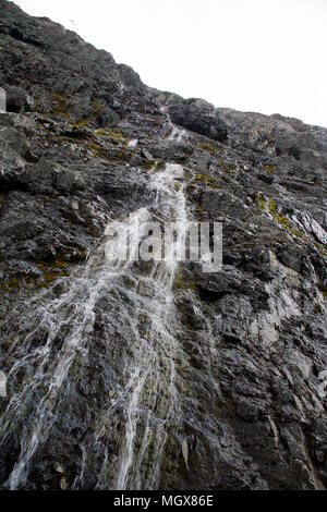 Larsen Harbour South Georgia Islands, seal at waters edge Stock Photo ...