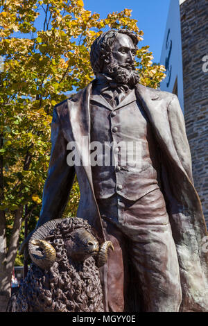 Statue of William Gilbert Rees, Queenstown Stock Photo - Alamy
