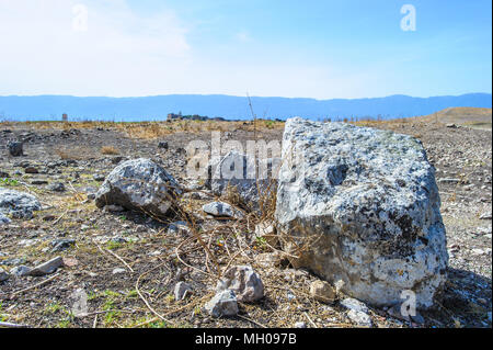 Nature and stones of Apamea, Syria Stock Photo - Alamy