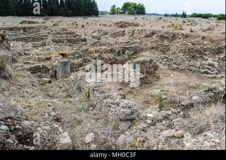 Nature of the ancient city of Ugarit, Syria Stock Photo - Alamy