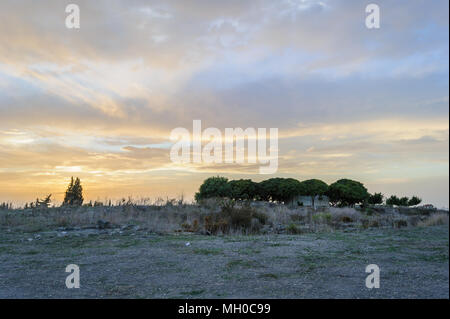 Sunset in Ugarit, Syria Stock Photo - Alamy
