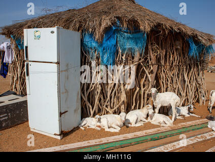 Traditional tihama hut, Jizan Region, Jizan, Saudi Arabia Stock Photo ...