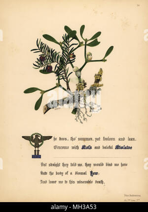 Titus Andronicus, play by William Shakespeare (26 April 1564 – 23 April ...
