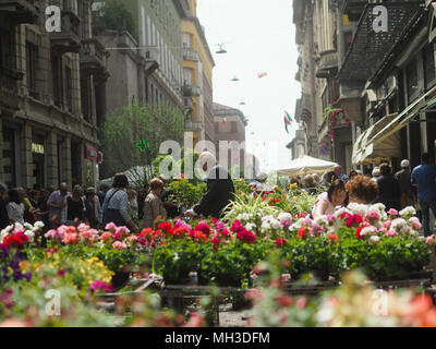 Sping Street flower market 2018 edition in Cremona Lombardia Italy ...