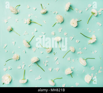 Ranunculus flat lay composition Stock Photo - Alamy