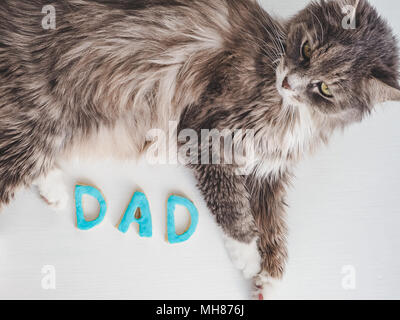 Sweet, cute kitten and the word DAD on a white, isolated background ...