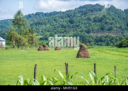 Haystack in rural area in Georgia. Landscape Stock Photo - Alamy
