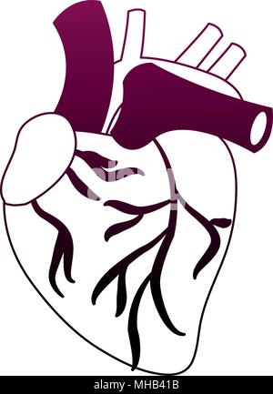 Human earth organ on purple lines Stock Vector Image & Art - Alamy