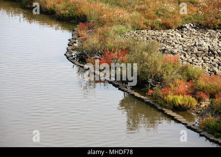 Nature swamp in venetian lagoon Stock Photo - Alamy