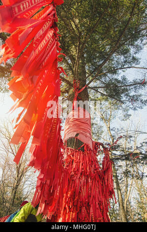 Millennium Tree God in "Devil World" (Mojie Scenic Area Stock Photo - Alamy