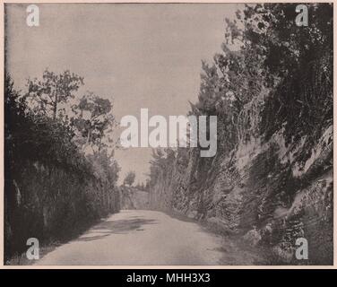 Road Cut by Convicts, Bermuda Stock Photo - Alamy