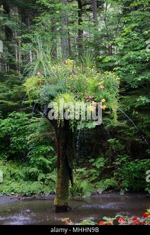 Juneau, Alaska: Glacier Gardens, a botanical garden in the Tongass ...