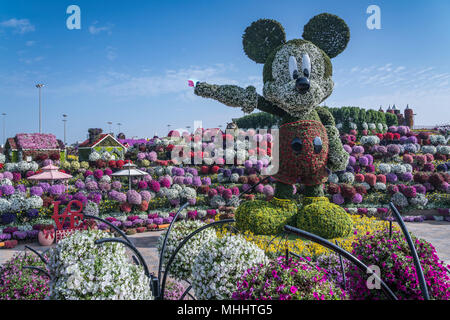A floral mickey mouse at the Miracle Gardens in Dubai, UAE, Middle East ...