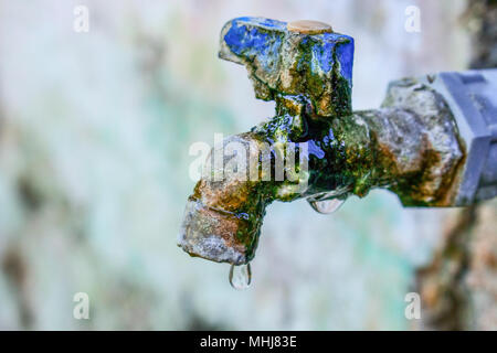 Old Blue Tap Surrounded By Dark green Moss Stock Photo - Alamy